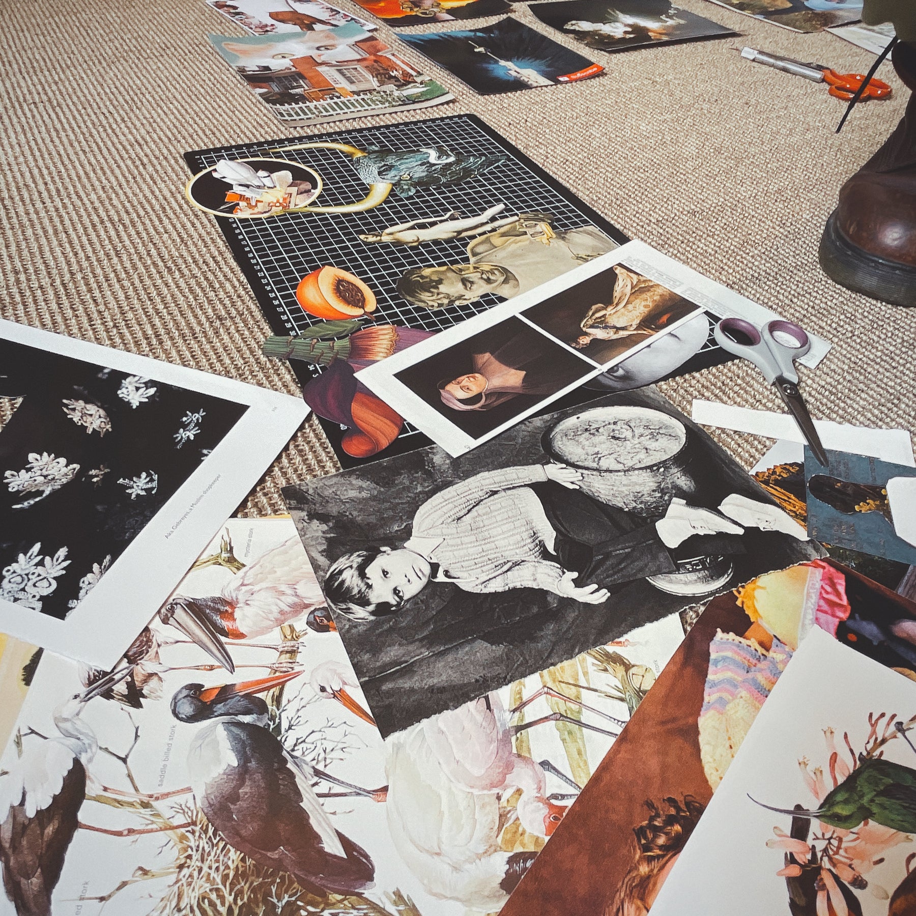 Not Normal People - McIntyre